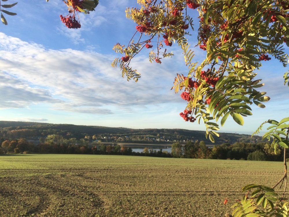 Regiomat Rohen Hof - moehnesee.de